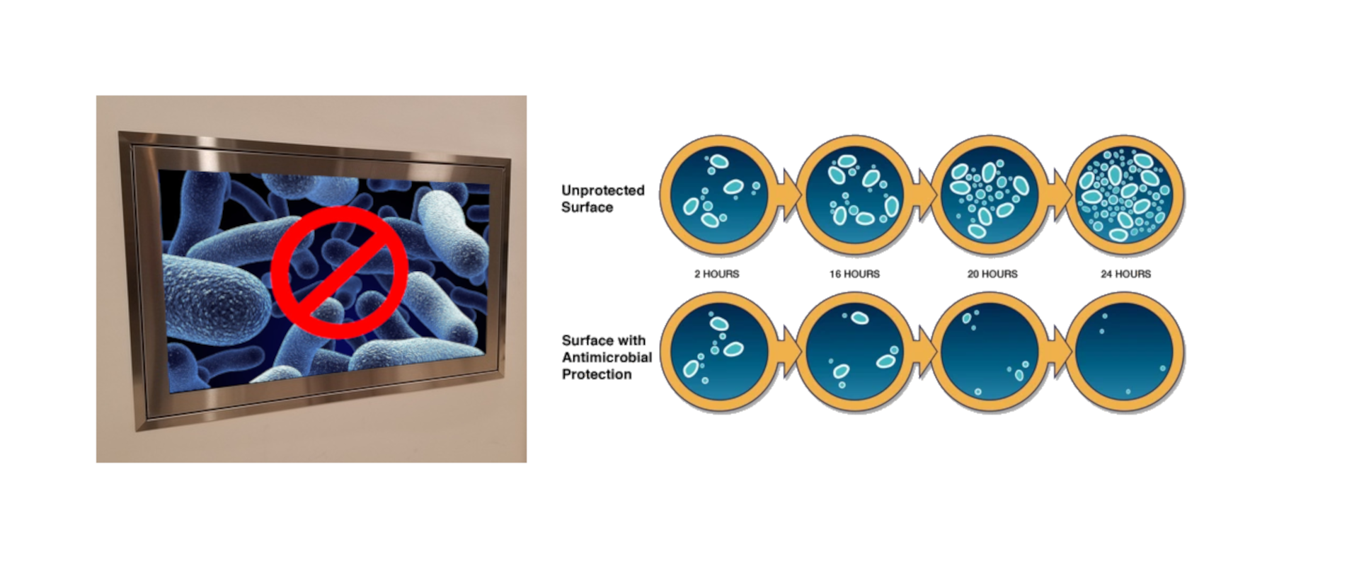 Safety & Wellness - EDC